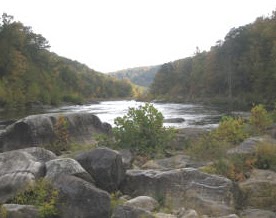 A Hobby Tree: Nancy Jane Minear 1823-after 1910 (111001)