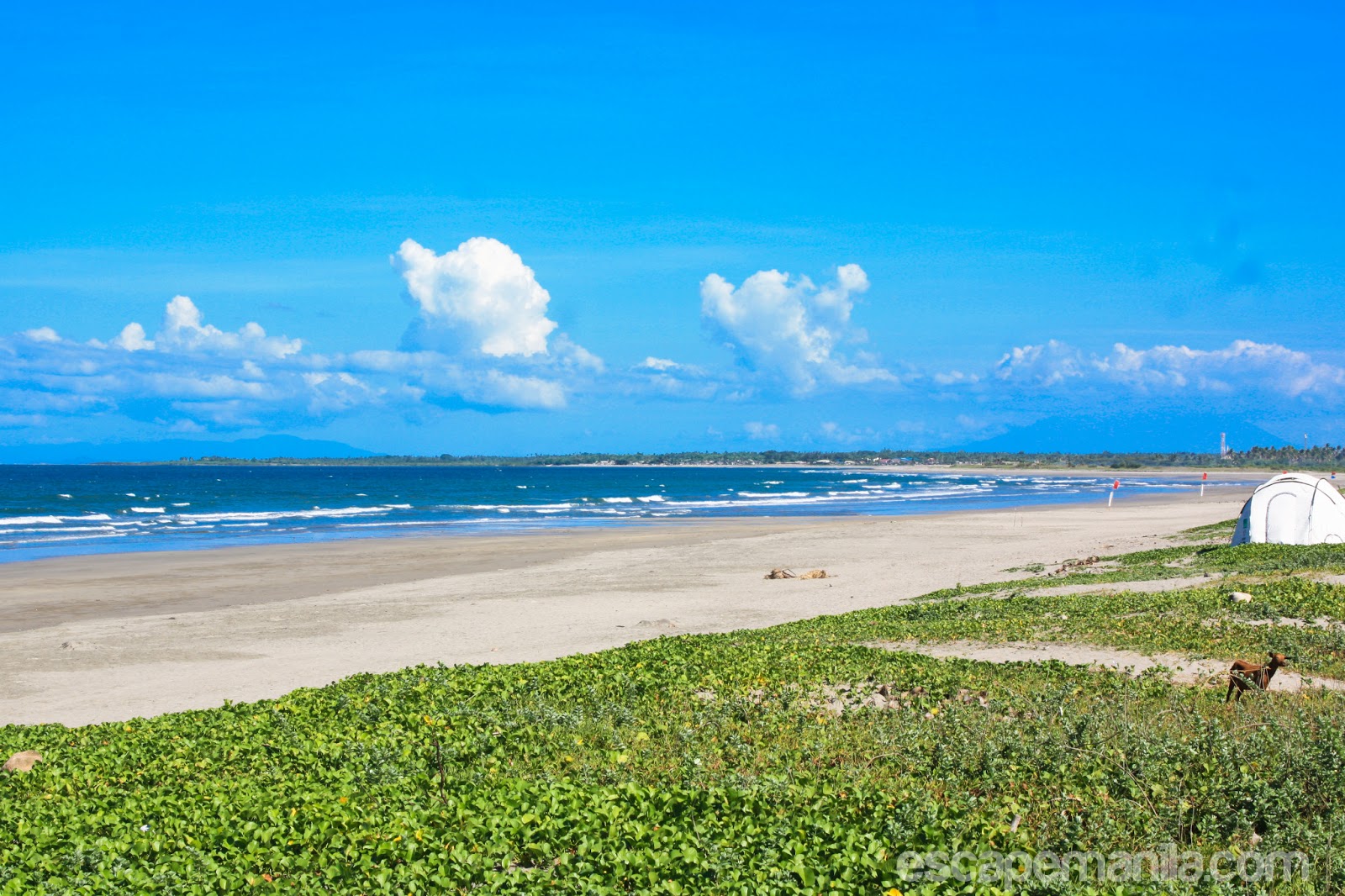 Day 17 of PHL50 : Beach Bumming at Bagasbas Beach, Daet, Camarines ...