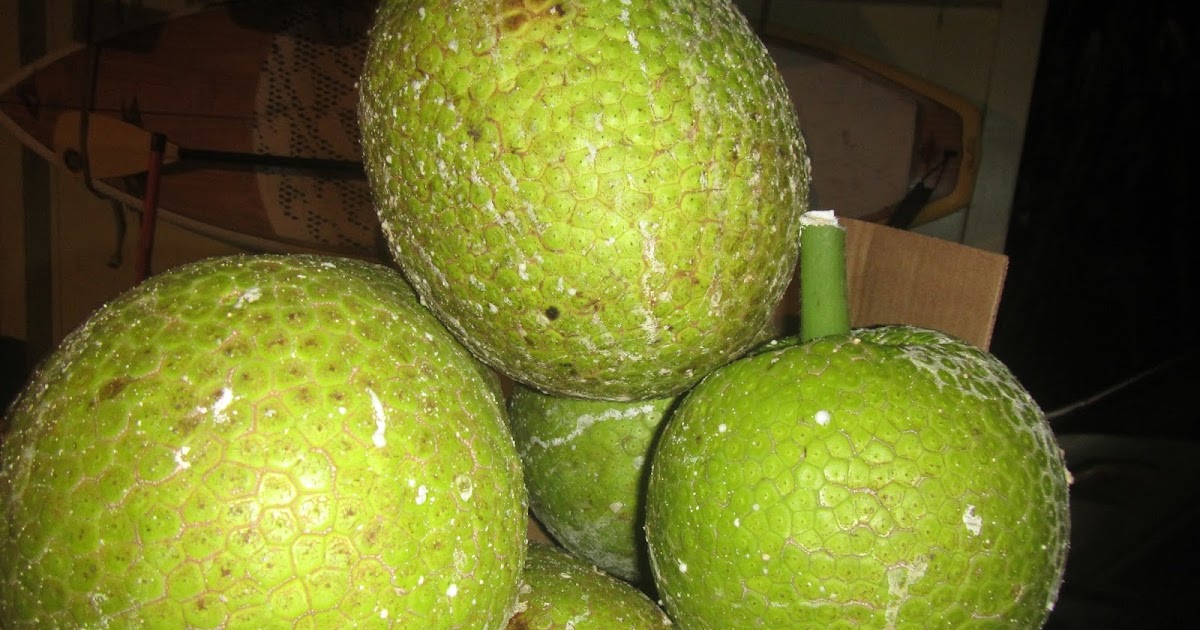 Tropical Synapses: Ulu fries