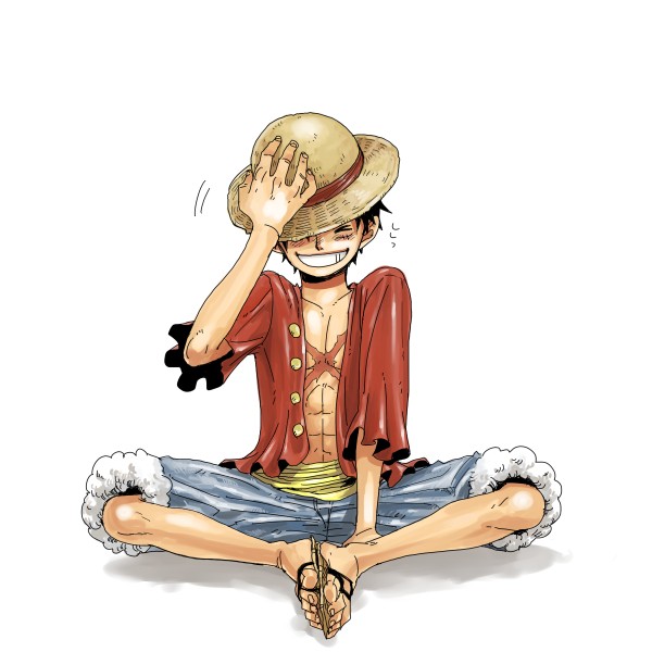 THE LUFFY ONEPIECE !: Monkey D.Luffy