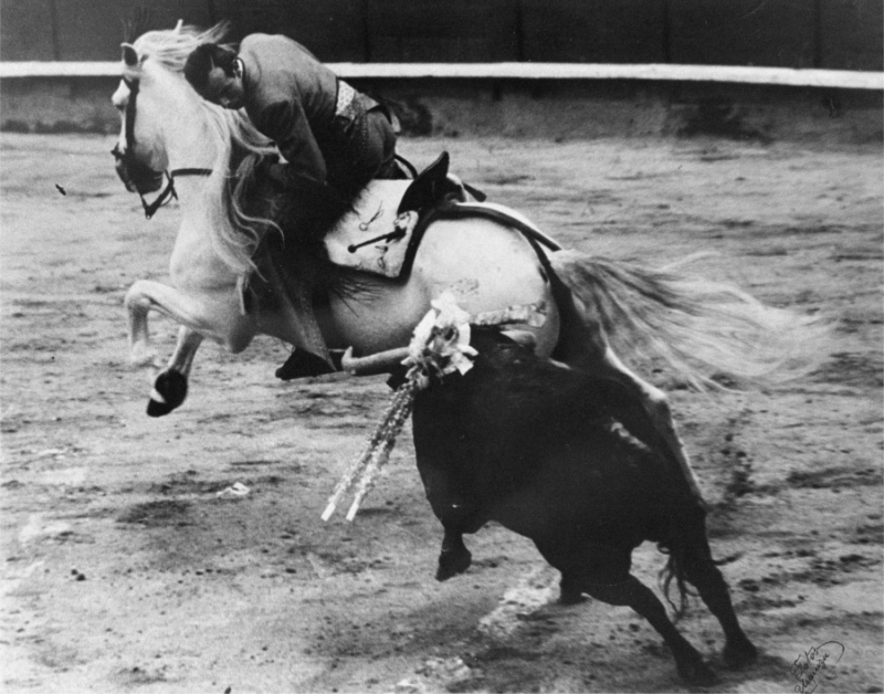 TAUROMAQUIA MURCIANA: EL TOREO: Majeza y Romanticismo