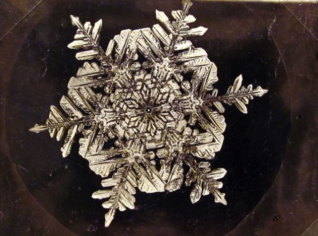 klobszki: Wilson „Snowflake” Bentley