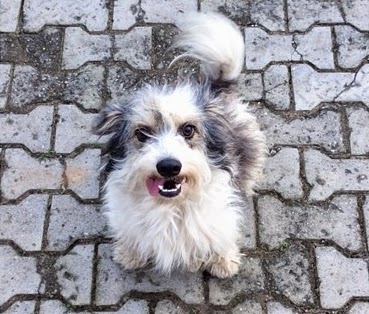 Meet Chika Ike's 'Silly' New Friend - NaijaGists.com - Motivation ...