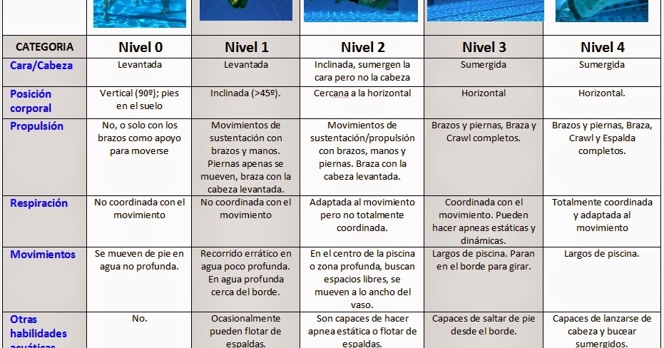 Ahogamiento: El proceso de Ahogamiento.