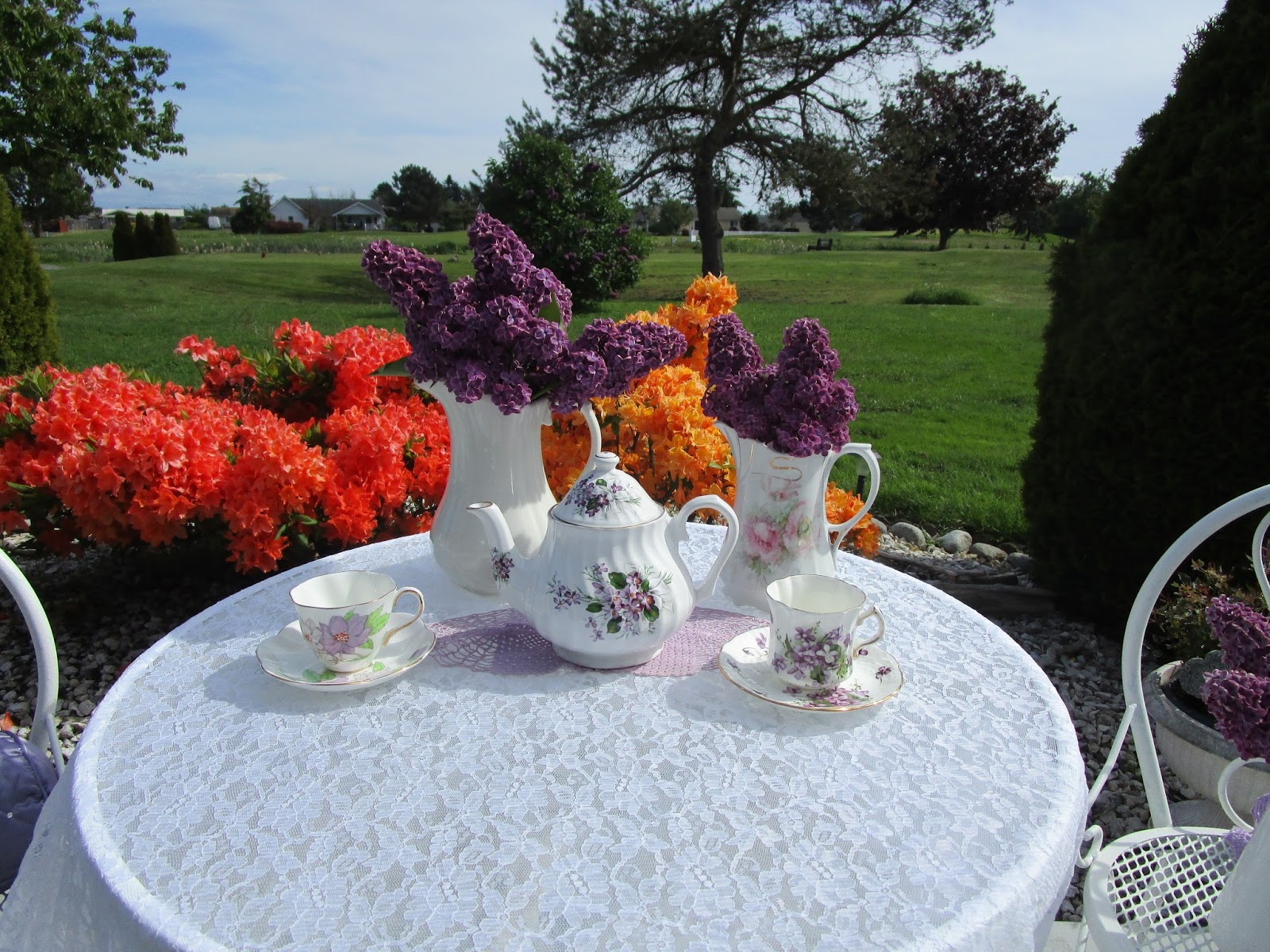 Karen's Cottage and Castle: Lilacs for An Outdoor Tea Time