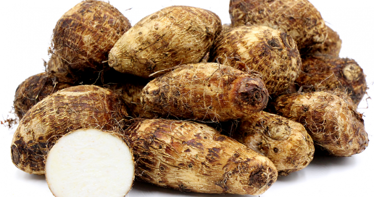 PLAAN : Uncucha - Xanthosoma sagittifolium