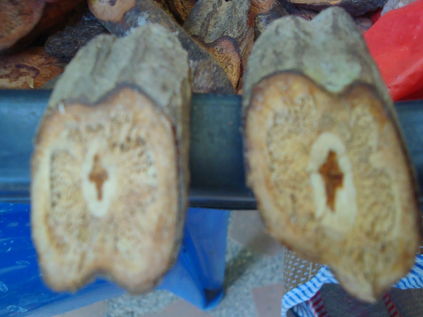 Chingky Quijano ♥: Discover Guimaras!