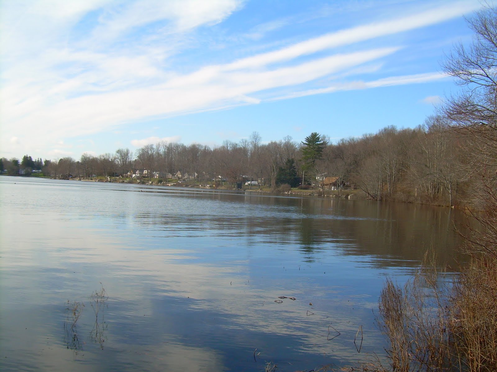 Wildlife Monitor: Bantam Lake Waterbird Update, 12/15/2011