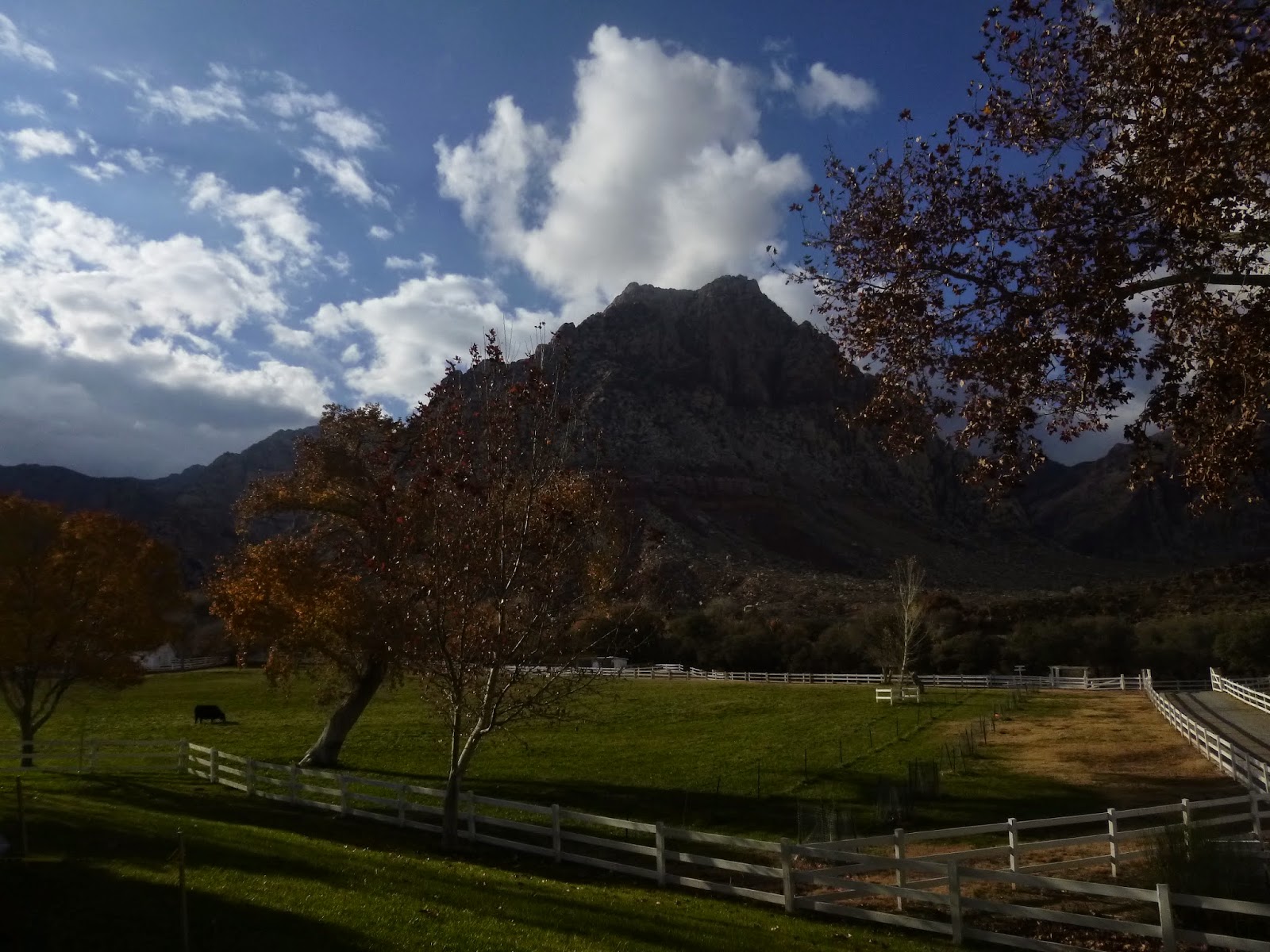 gold country girls: A Short Visit to Spring Mountain Ranch Nevada