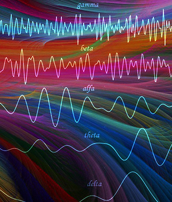 Le Cerveau de l'Enfant et de l'Adolescent: Les Ondes Cérébrales