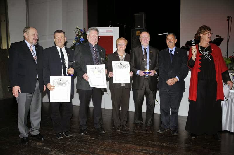 nieripigeons-Holanda racing pigeons: Martha Van Geel SIEMPRE VIGENTE.