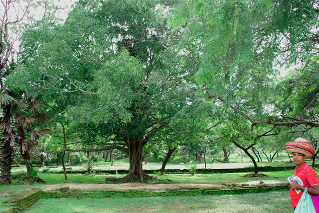 Nature and Others on camera by Asiri: HISTORICAL MARVELS OF SRI LANKA