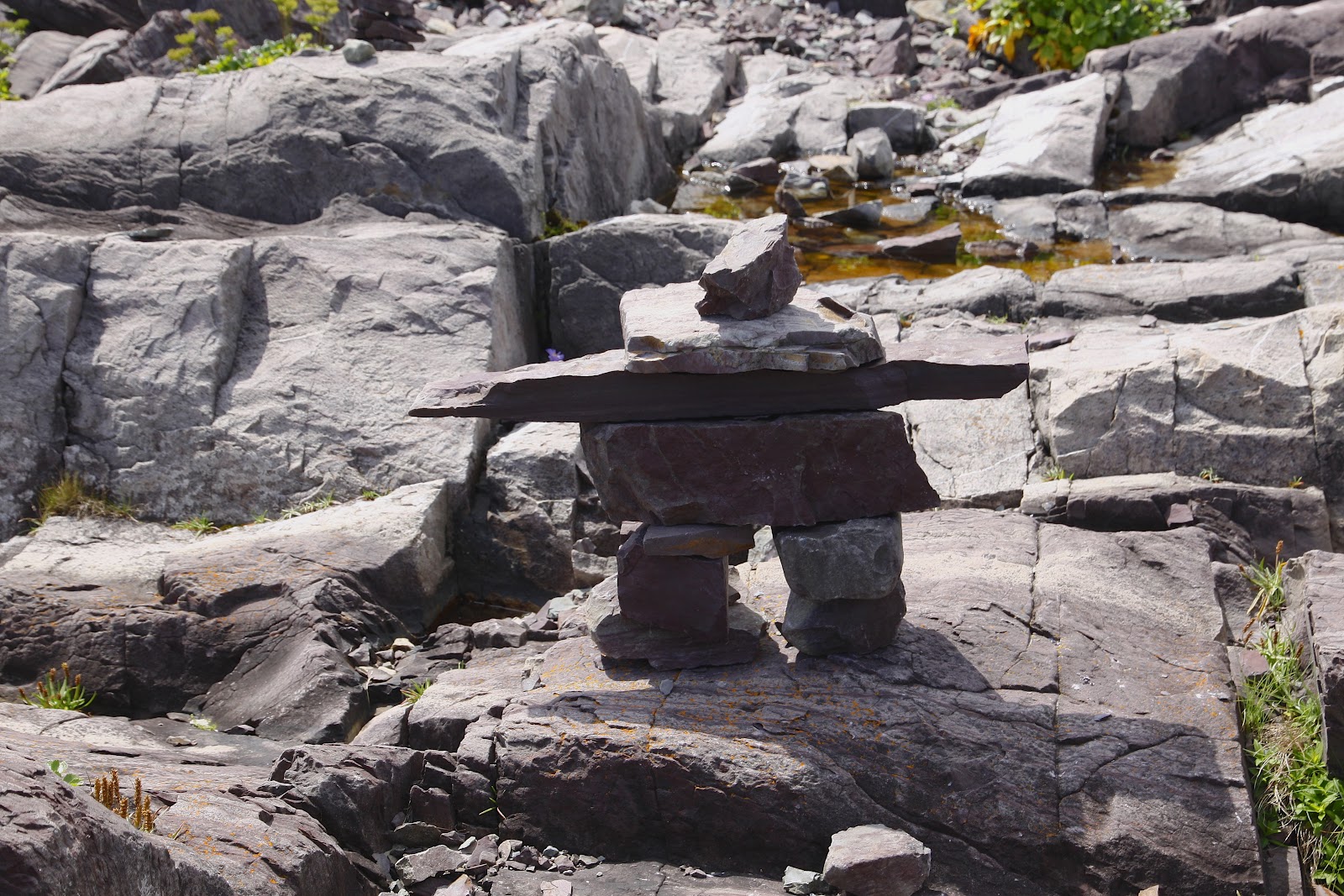 Rockin' Knits: You're Missin' Out, Ellen!