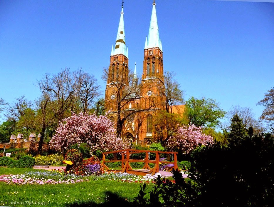 dzień z życia: Rybnik