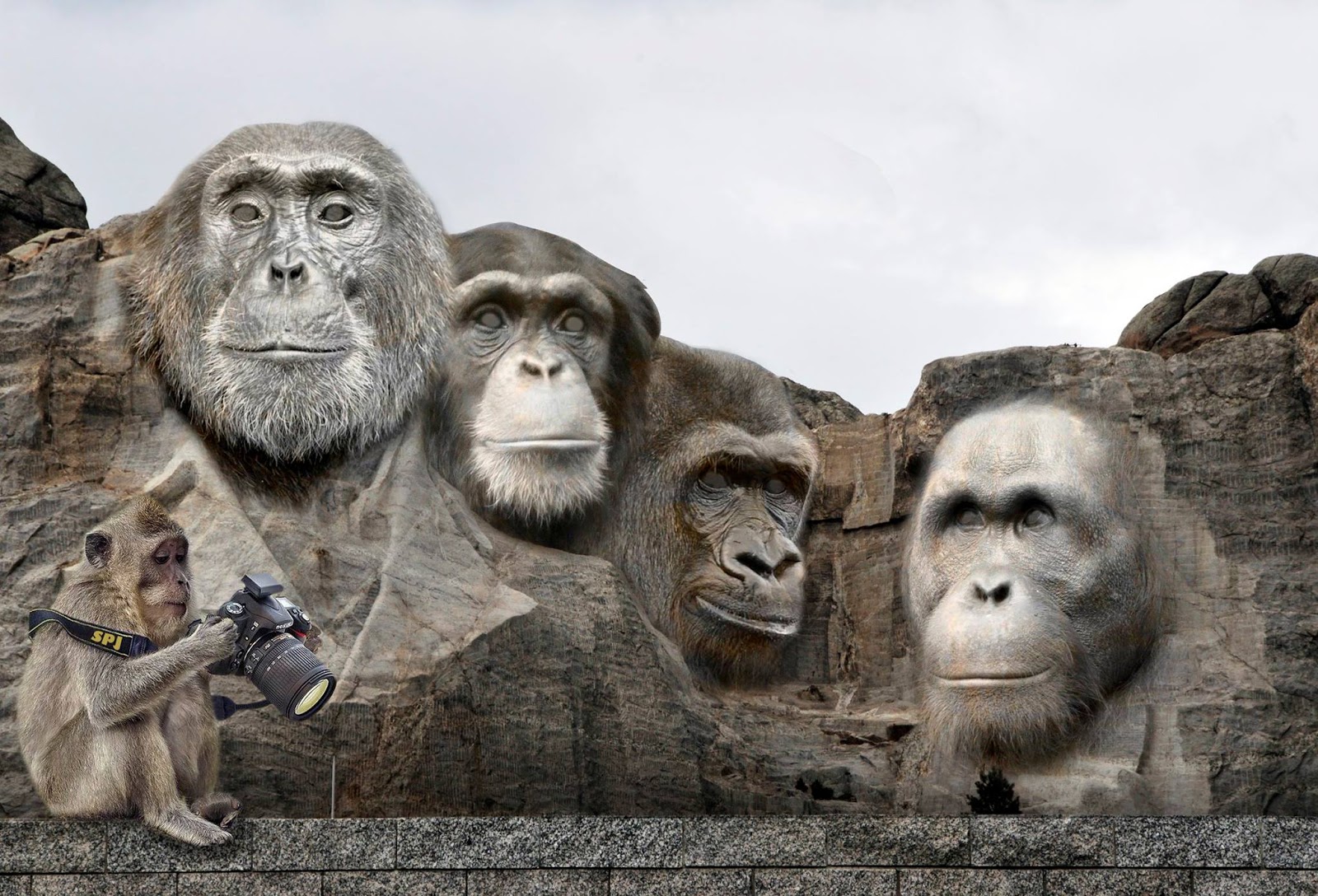 Archives Of The Apes: 2017