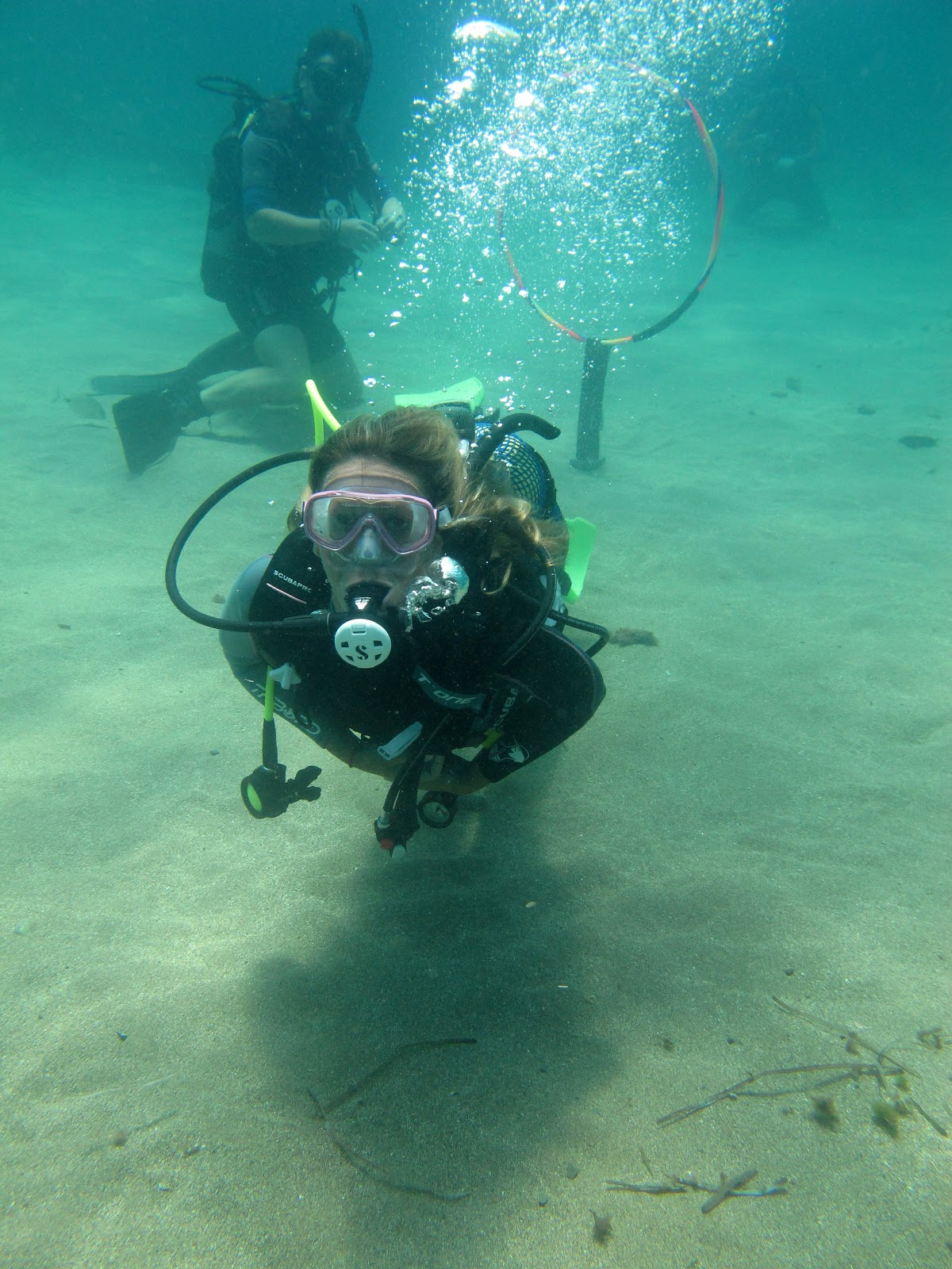 Sea Slug and the Turtle: Advanced Diver Training - Peak Performance ...