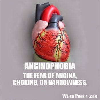 Collections: November 2013