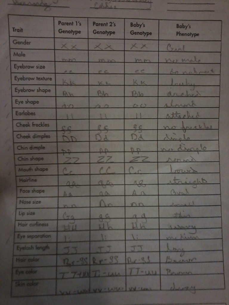 Ashley's Biology Blog: Create-a-Baby Review