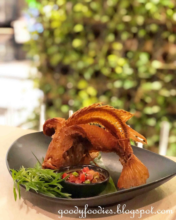 GoodyFoodies: Dancing Fish, Bangsar Shopping Centre: Introducing a New Menu