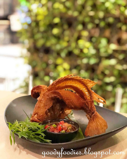 GoodyFoodies: Dancing Fish, Bangsar Shopping Centre: Introducing a New Menu