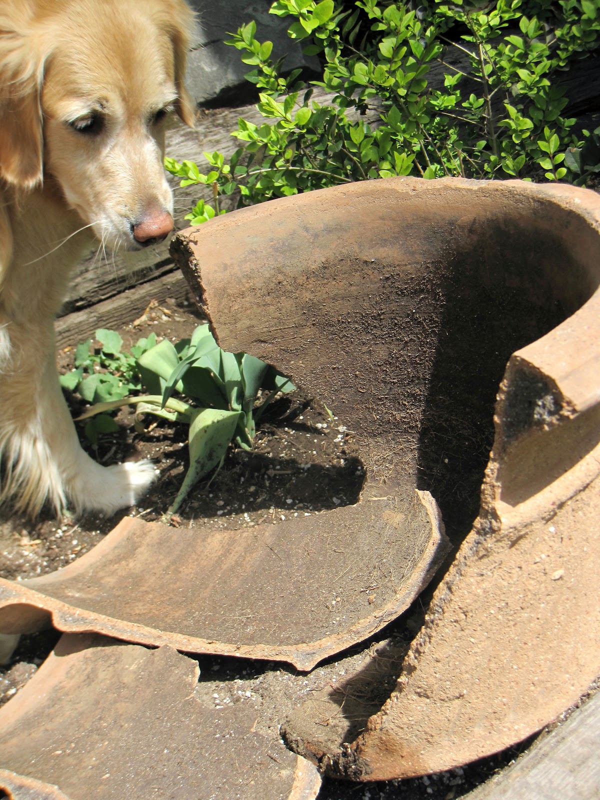 Simple Details: broken pot? fret not!