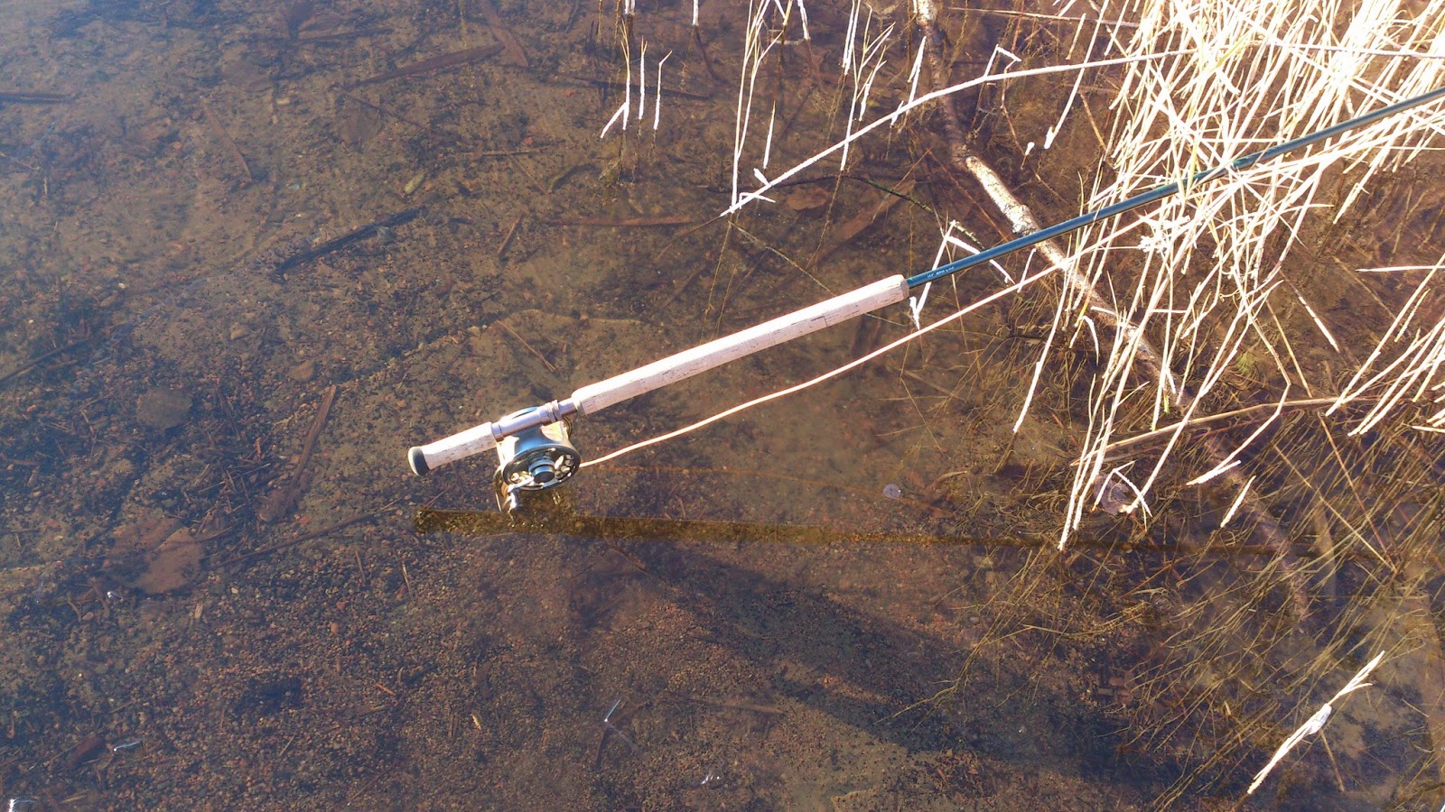 Laxberndt: Ny flugfiskare