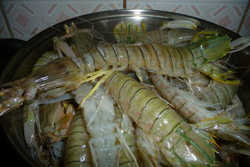 The Mediocre Wanderer: September 2011