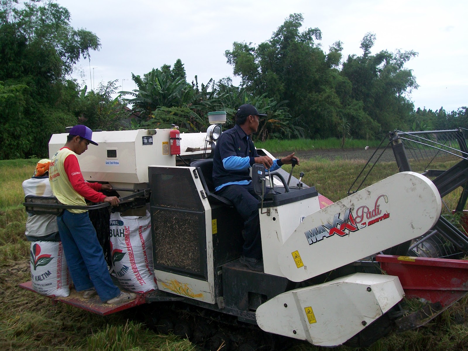 Combine Harvester | Mesin pemotong padi - CARA BUDIDAYA