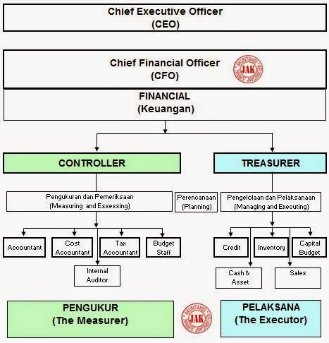 CHIEF FINANCIAL OFFICER (CFO) | Science Lovers