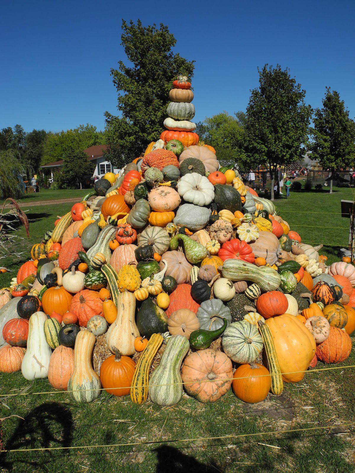 The Phytophactor: 400 varieties of Squash