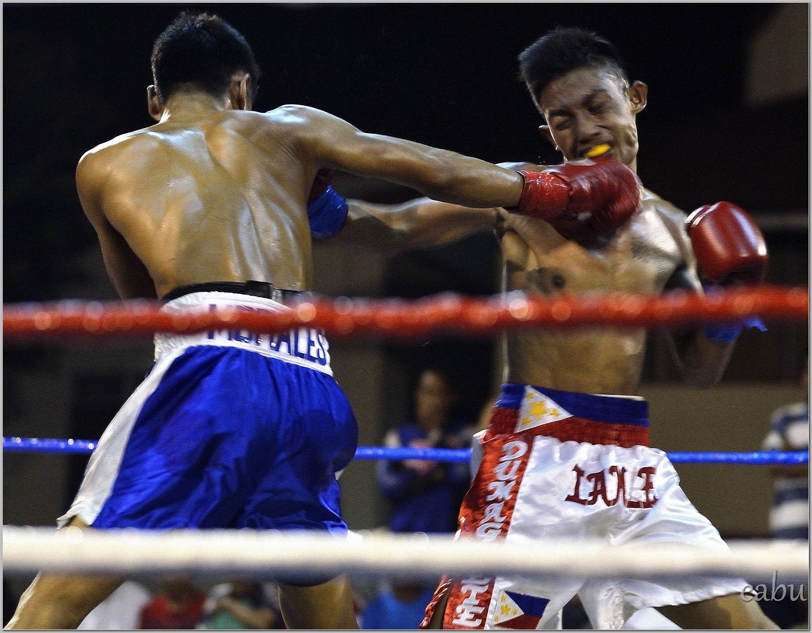 FrEsH aNd GrEeN: One Last Time Before The Bigtime, Aj Banal