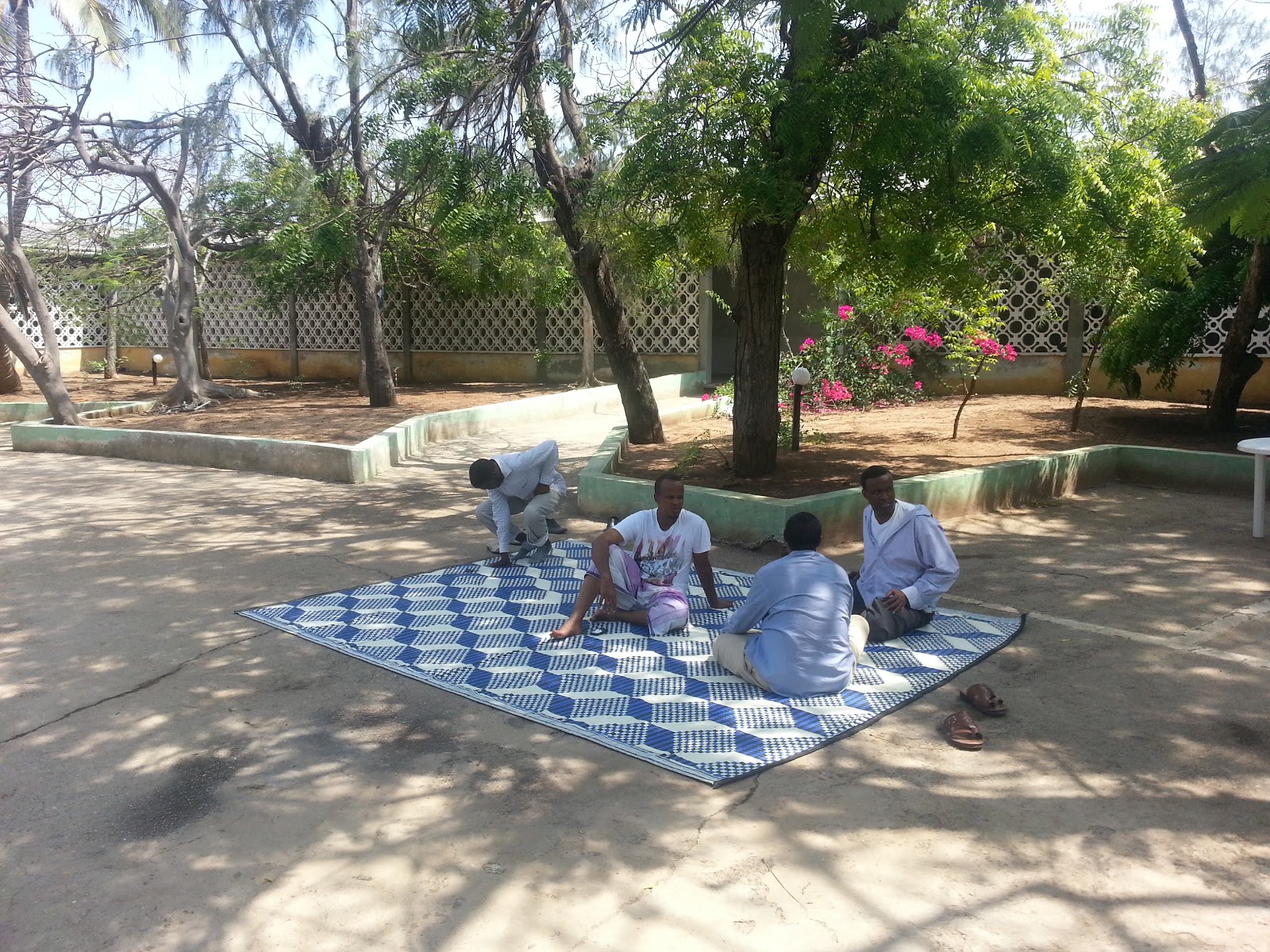 Somalia in Pictures: Somalia - Somali Fruit Mogadishu