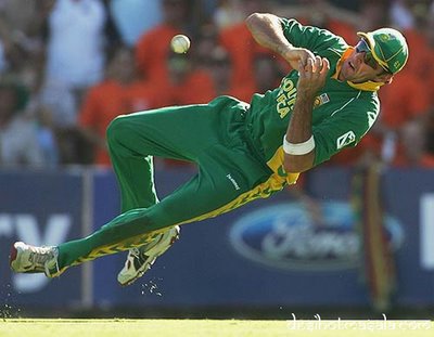 Aleda Costa: Amazing Cricket Catches Images