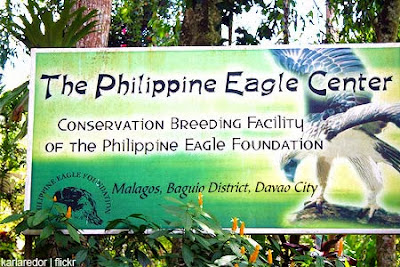 Philippine Eagle Center - Davao City: Travel Guide - Philippine Eagle ...