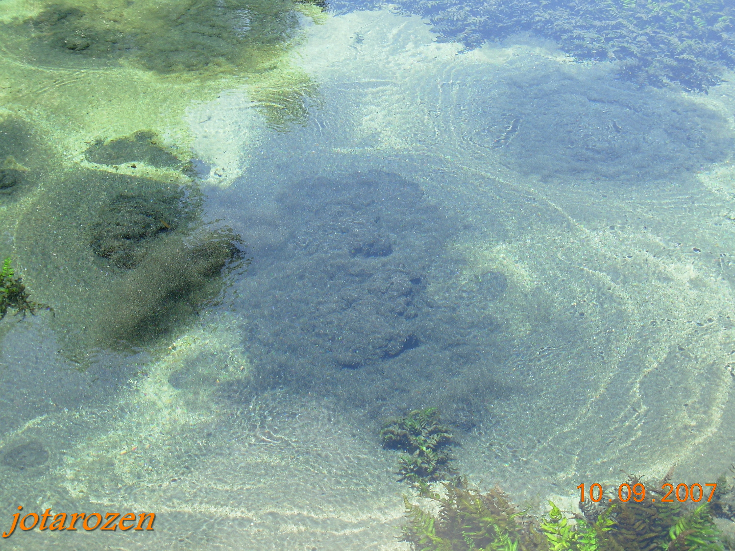 Footsteps - Jotaro's Travels: Indonesia - Bali Hai : Day 2 & 3 Sept 2007