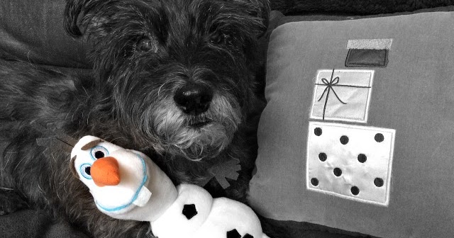 Oz and Olaf Will Melt Your Heart | Oz the Terrier - Lifestyle Dog Blog