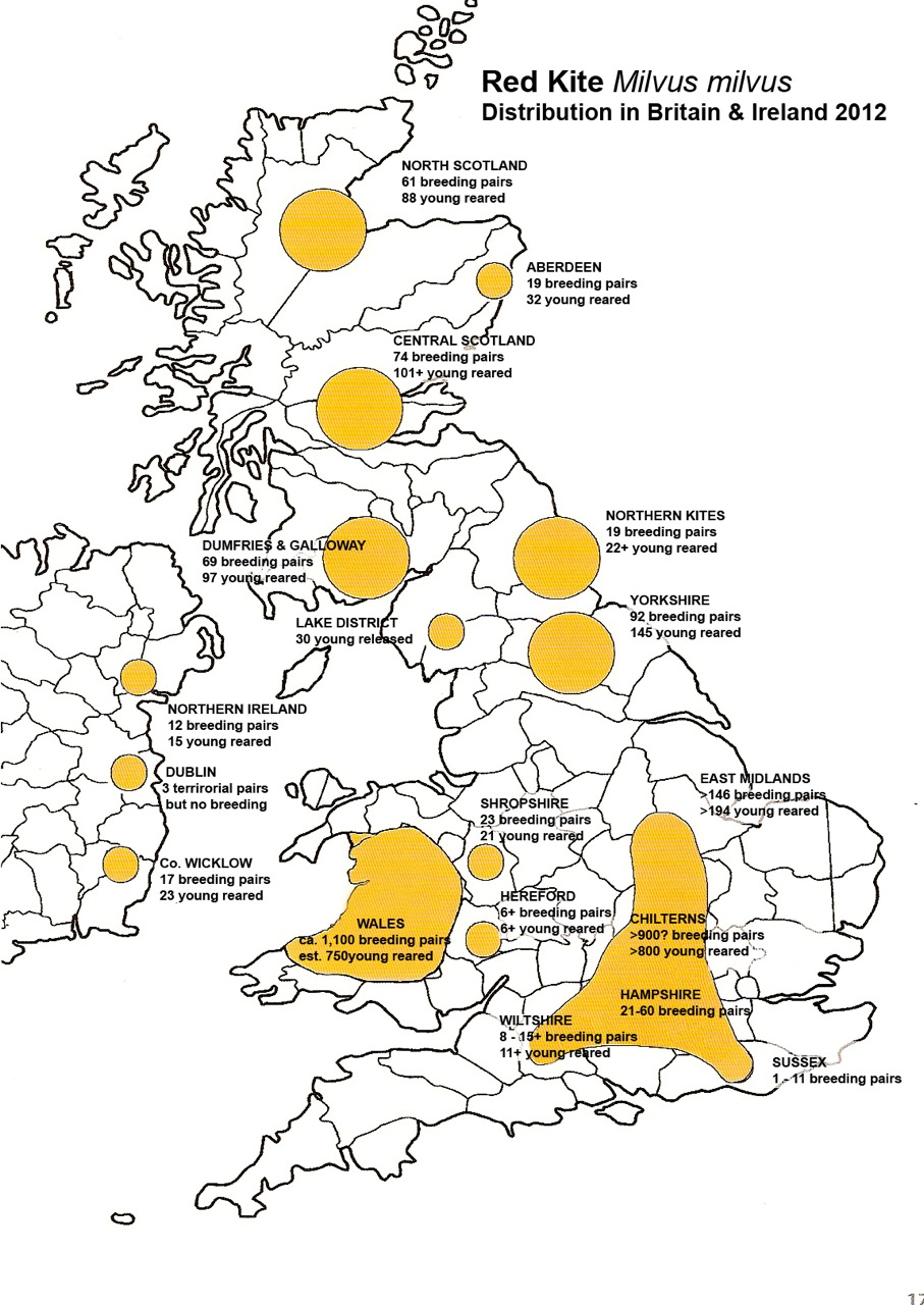 WELSH KITE TRUST NEWS