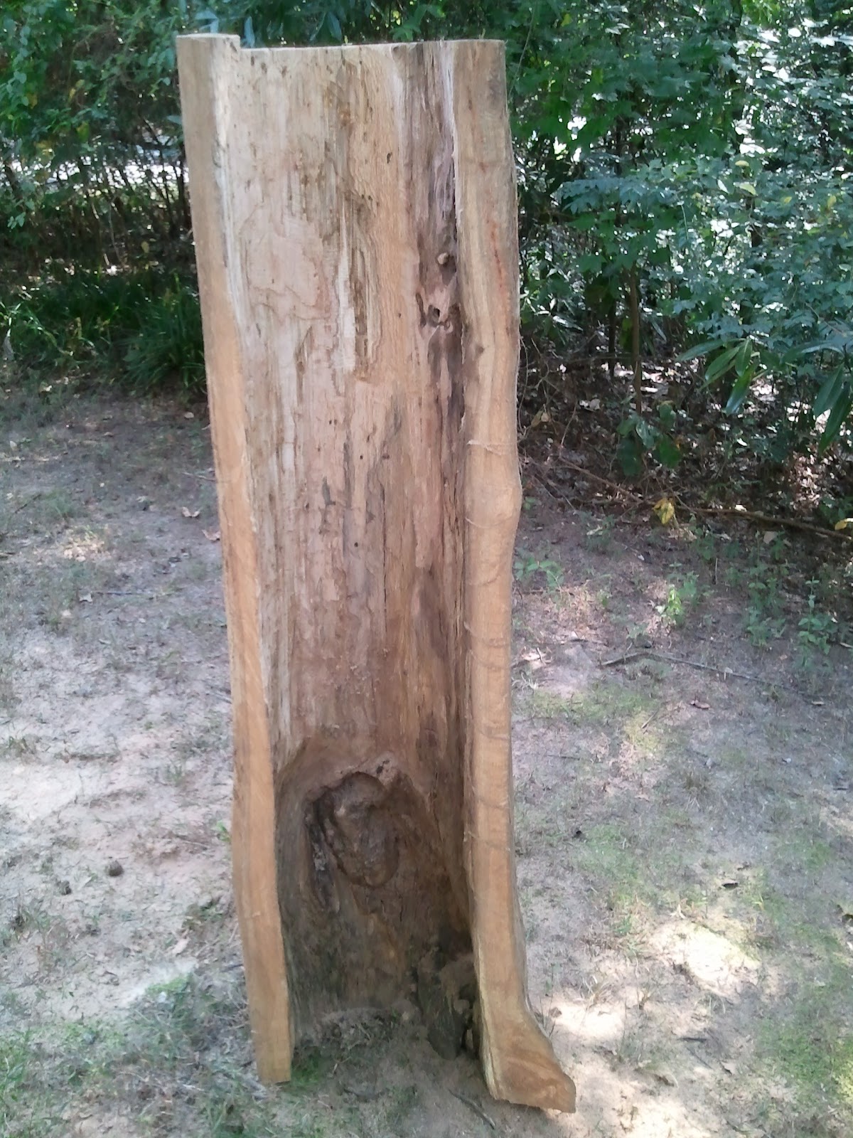 Mark's Farm Tochok: Bees in a tree