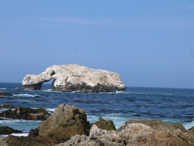 EXCURSIONES DE MARIO LOPEZ: Excursión Reserva Nacional San Fernando ...