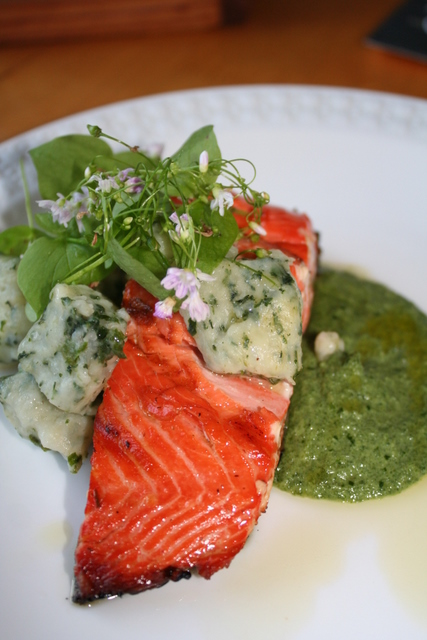 North Cascades Basecamp: Wild Food & Fish Foraging Weekend