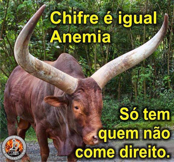 Piadas E Muito Mais Imagem Muito Divertida Corno