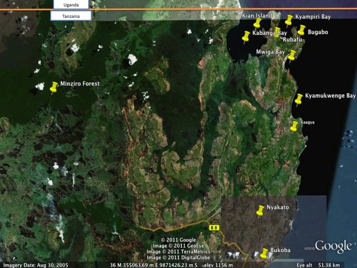 Bukoba Steve's Uganda birding blog: Sightseeing up Rubafu way