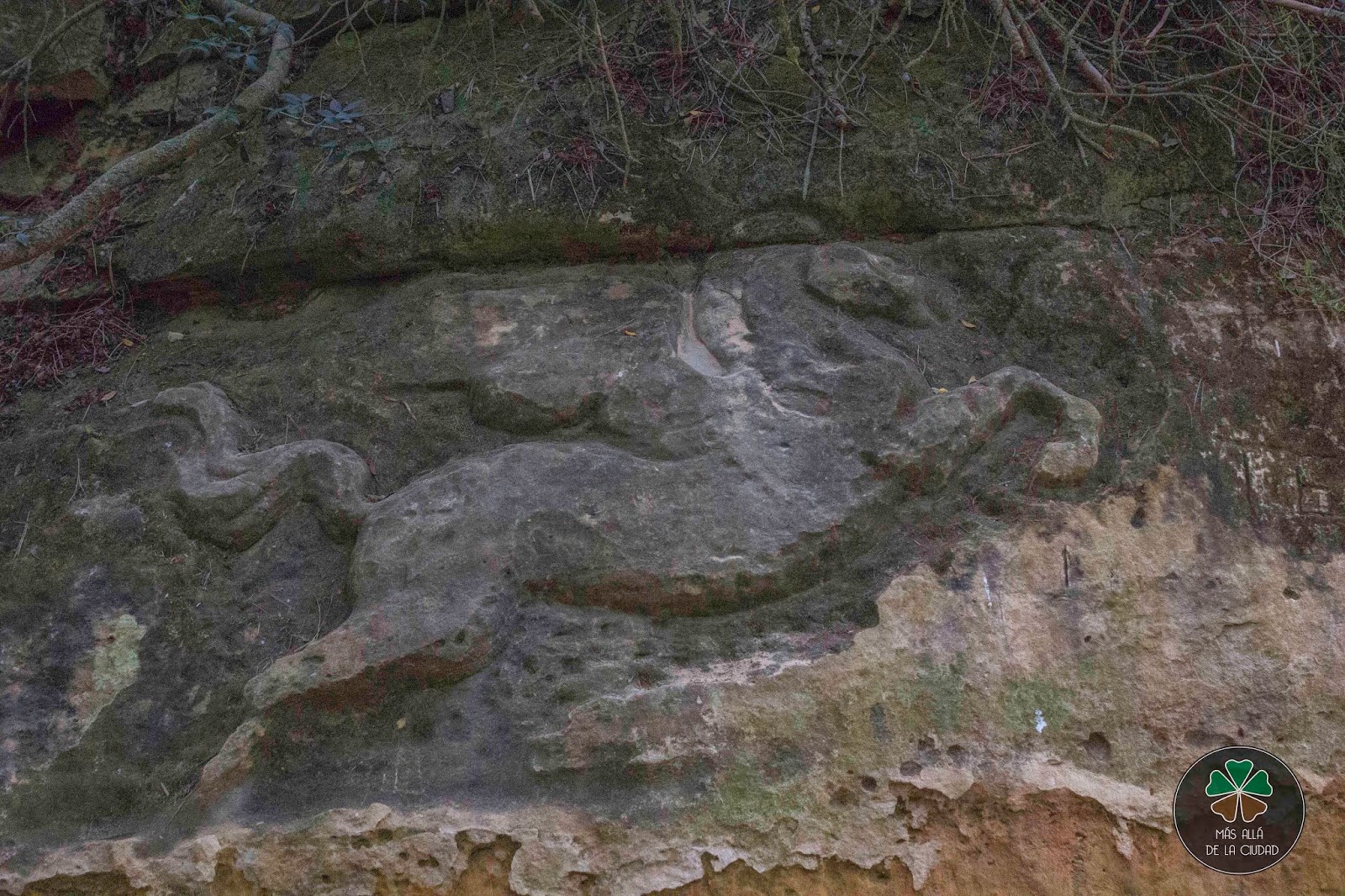 Ruta por el Río Seco (Pilar de la Horadada)