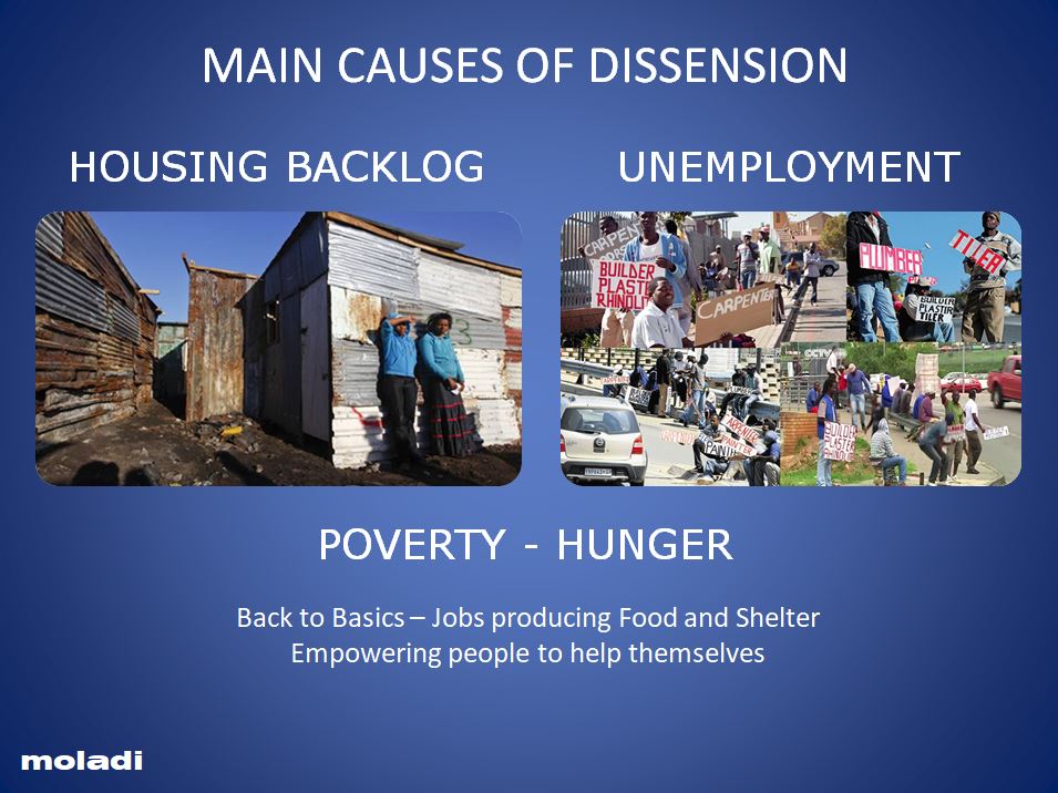 Creating-job-creators-moladi