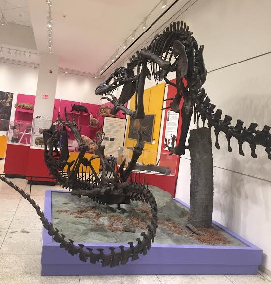 Prehistoric Beast of the Week: Visiting the New Jersey State Museum ...