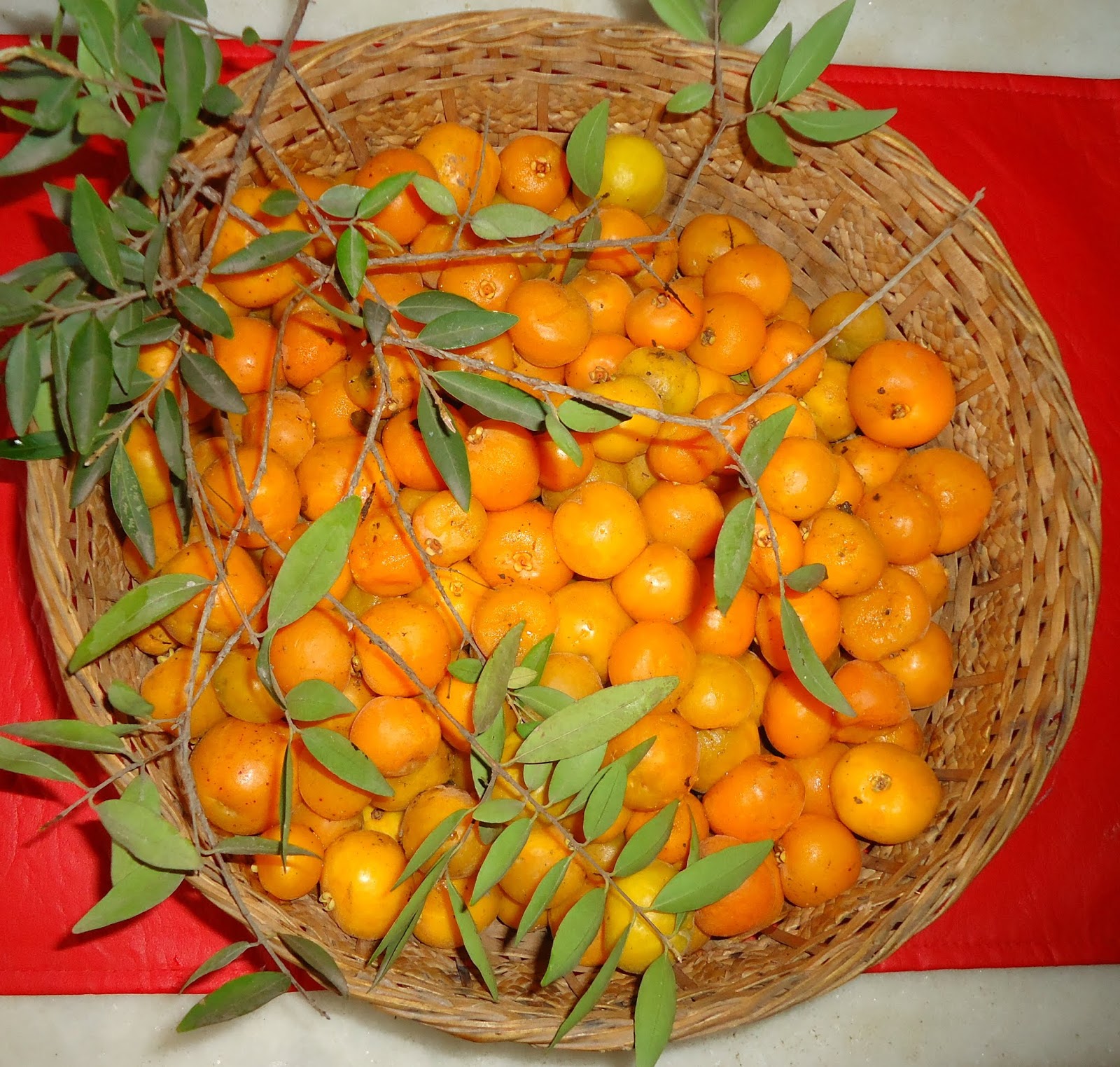 v e r d e c h a c o: Uvaia