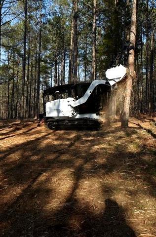 Le Bonrieu News 2011/2012