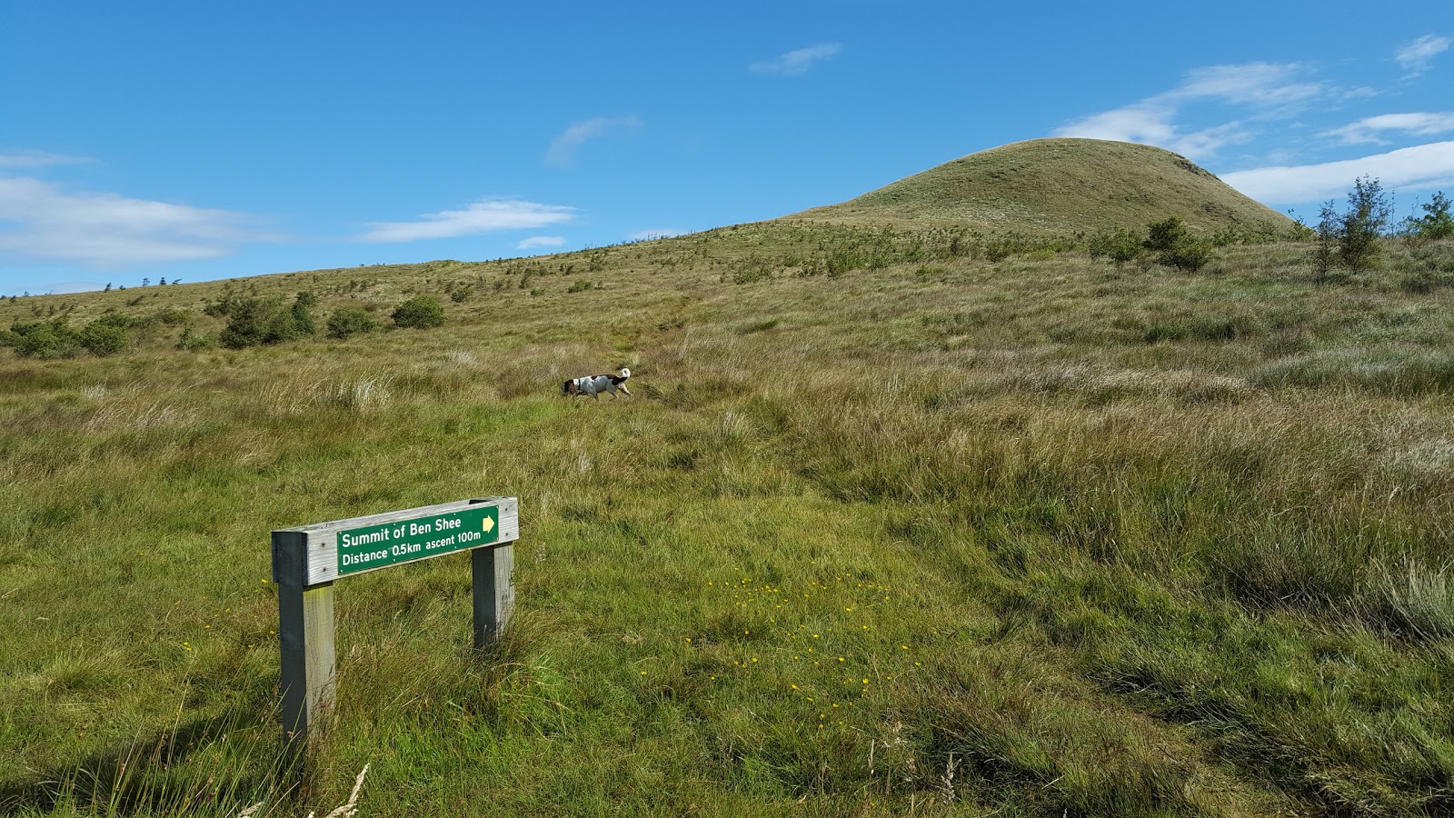 Neil's Hillwalking Exploits: Ben Shee (Ochils)