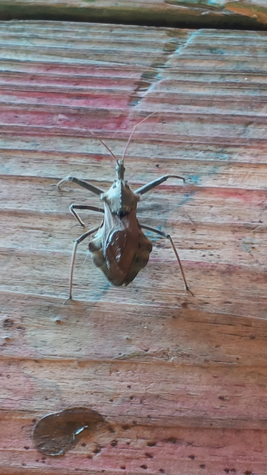 Life as a Homeschool Mom: FENCE Field Trip