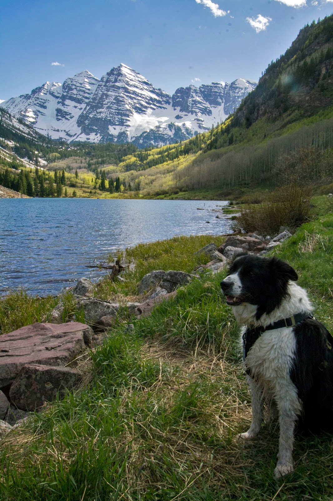 περιπλάνηση: June 3 - 5 2016 Camping at Maroon Bells Silver Queen ...